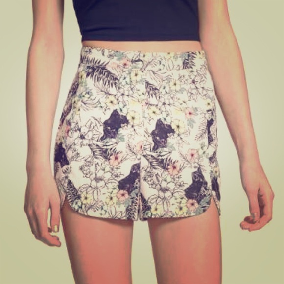 re:named | Shorts | Renamed Cat Print Short M | Poshmark